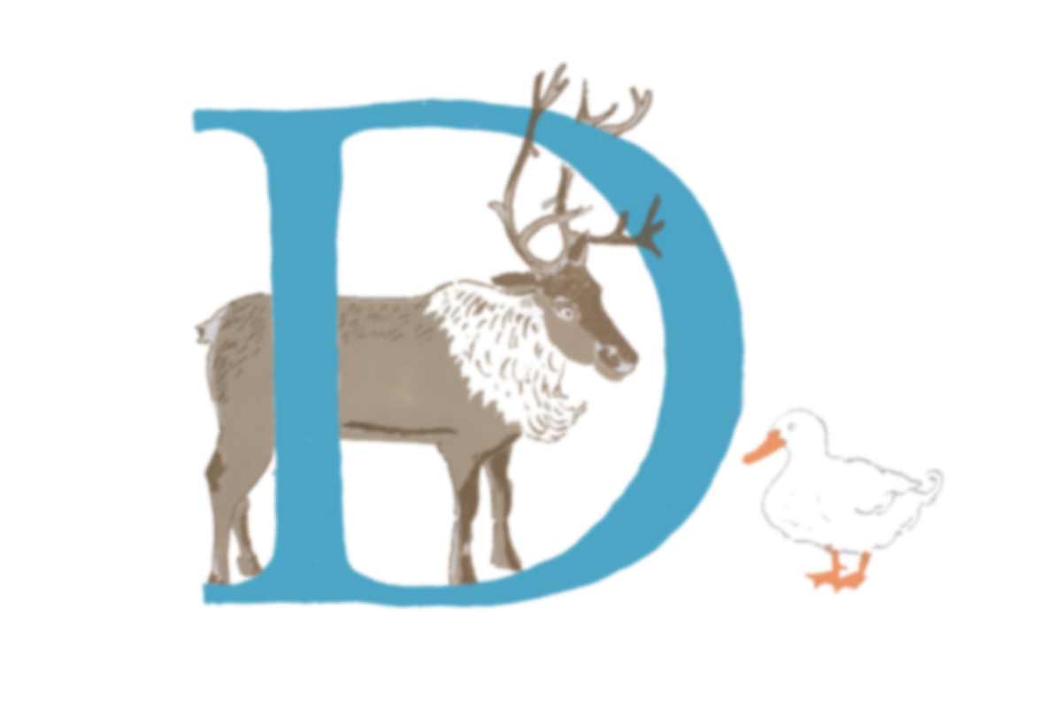 Illustrated Alphabet letter D from British artist Sal Ashmore